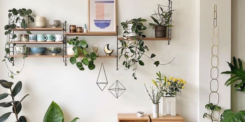 String pocket shelving store